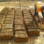 Adobe: The Tradition and Techniques of Mud Bricks – Regenerative Skills