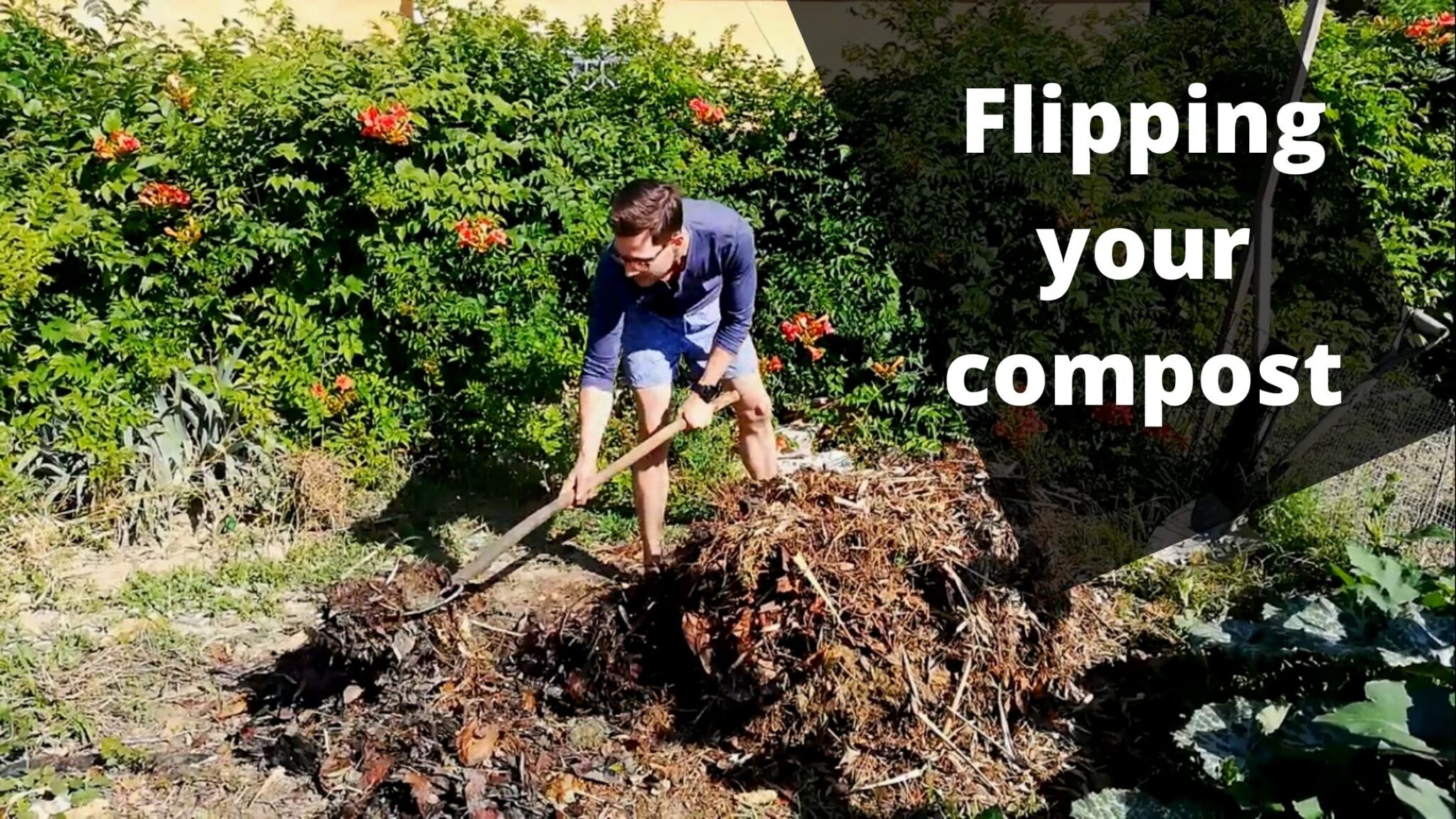 How to make rich microbialy active compost in record time ...