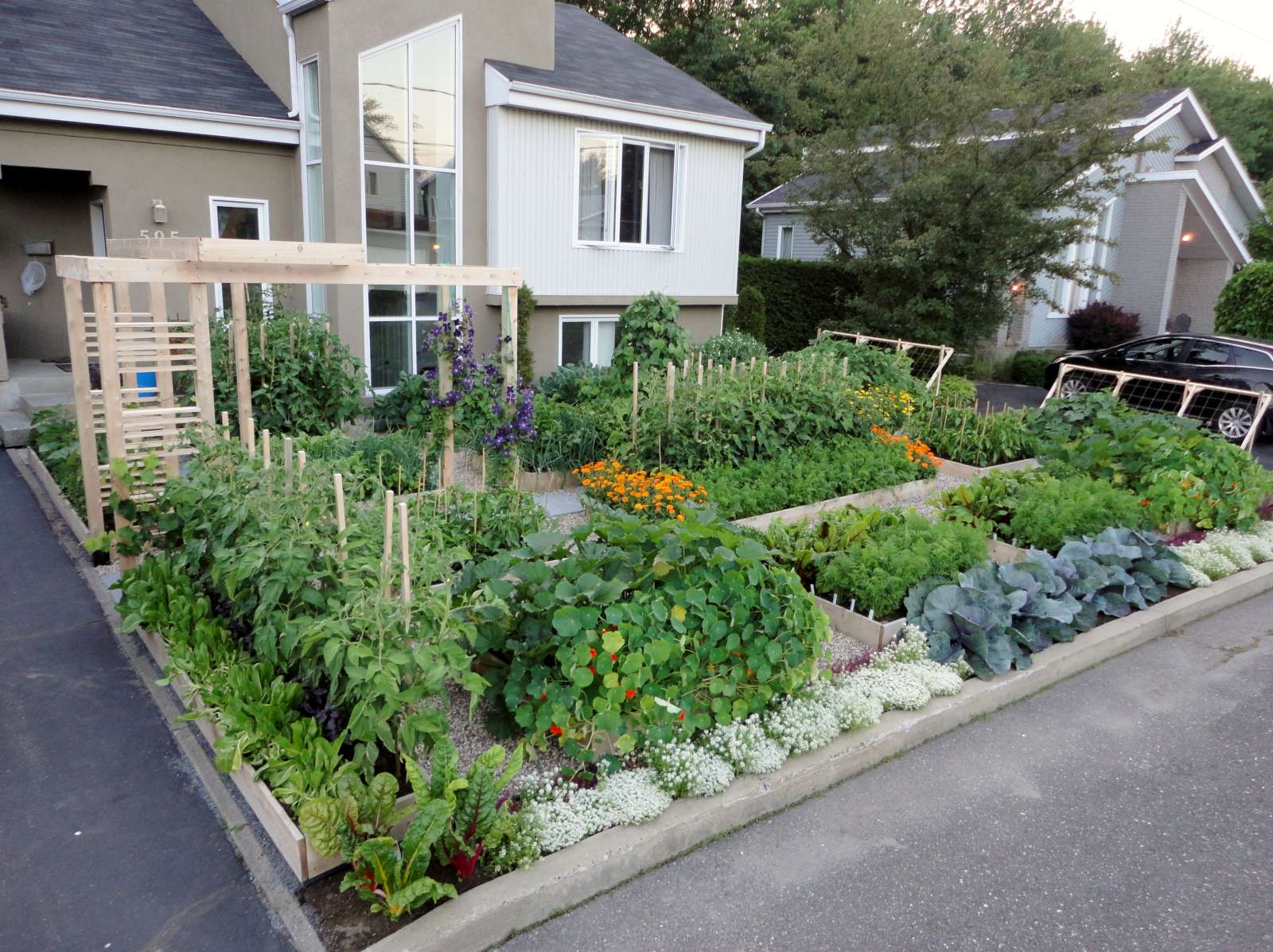 Kill your lawn, to bring life to your yard – Regenerative Skills