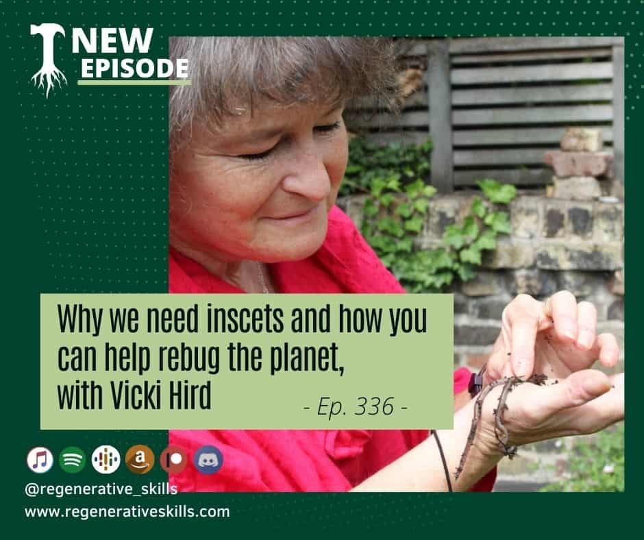Why we need insects and how you can help rebug the planet, with Vicki ...